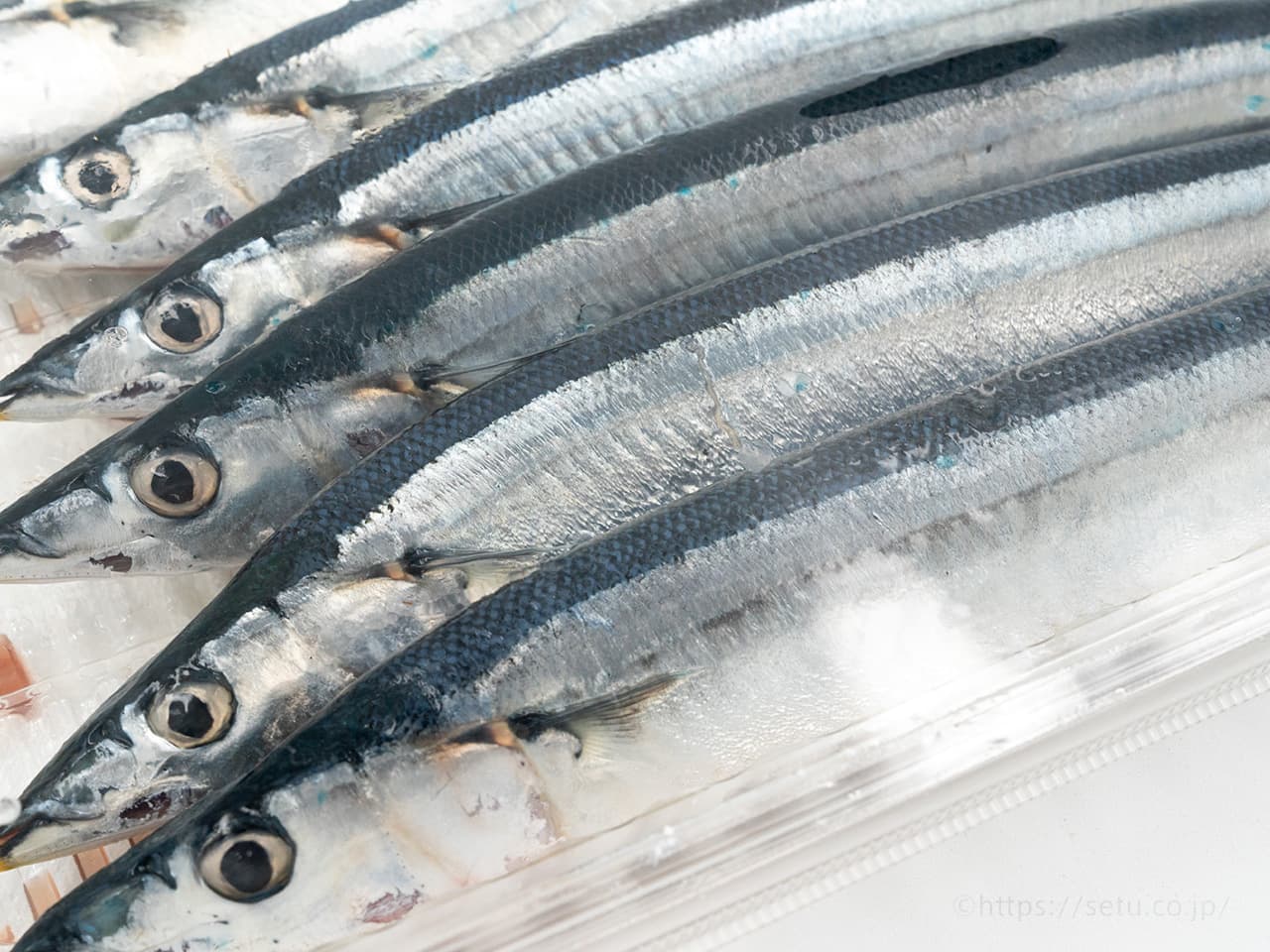 コストコの秋商品！北海道産の生さんまは焼くだけで美味しい旬の魚